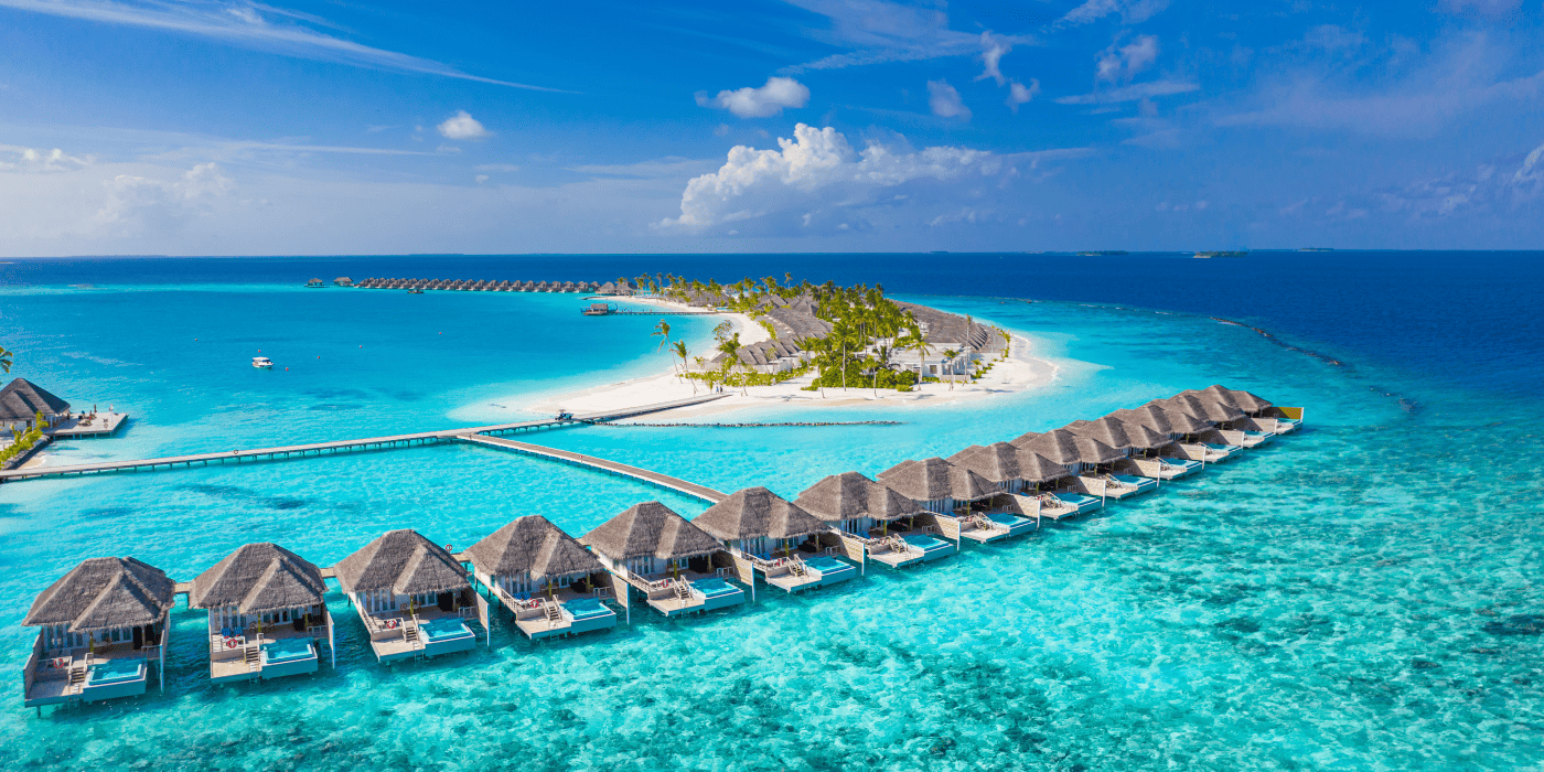 Adventure Shore Excursions – explore Half-moon reef & Coral Mountain ...